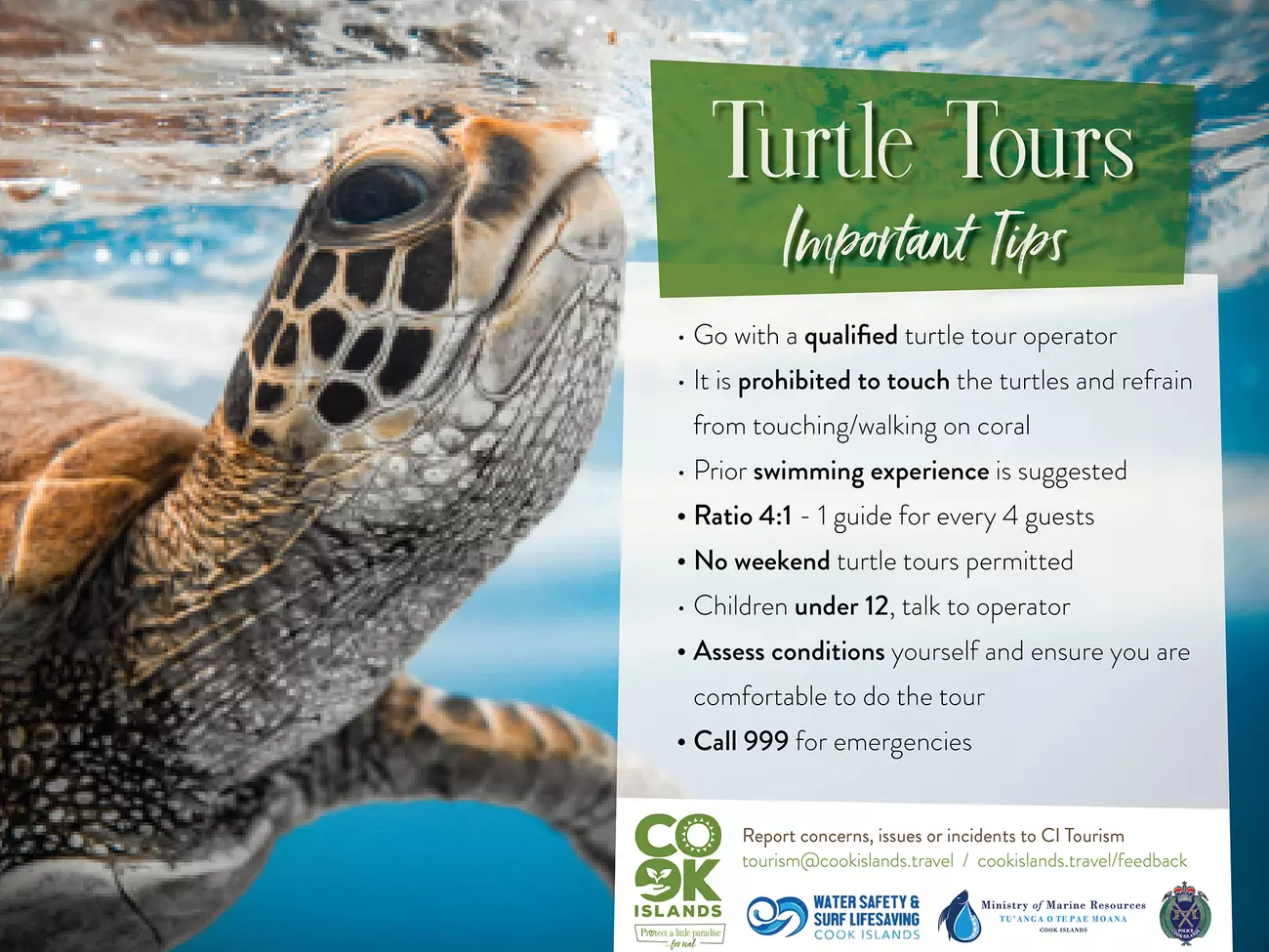 Turtle Tours | Cook Islands